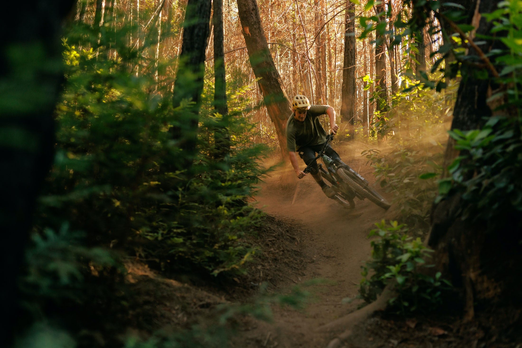 First Impressions: The Ibis Oso Ride Review | Jenson USA